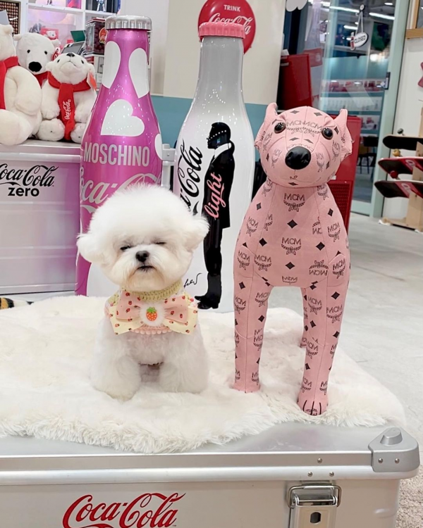 가득샵 앙증맞은 딸기 한 입 딸기폼 케이프 • 강아지 고양이 케이프 뜨개 케이프 머플러 스카프 목걸이 악세사리 페오펫몰